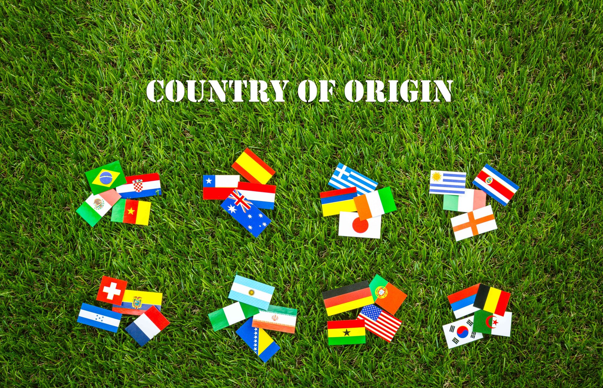 Products and Services - SG Imports & Exports